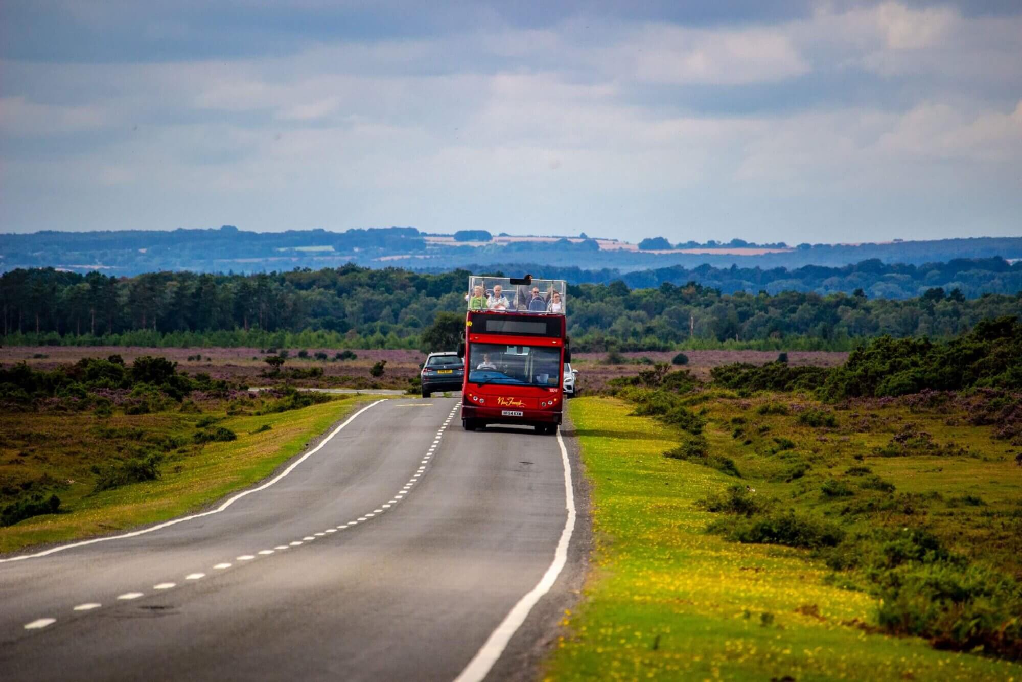 Timetable for New Forest Tour: Red from The New Forest Tour